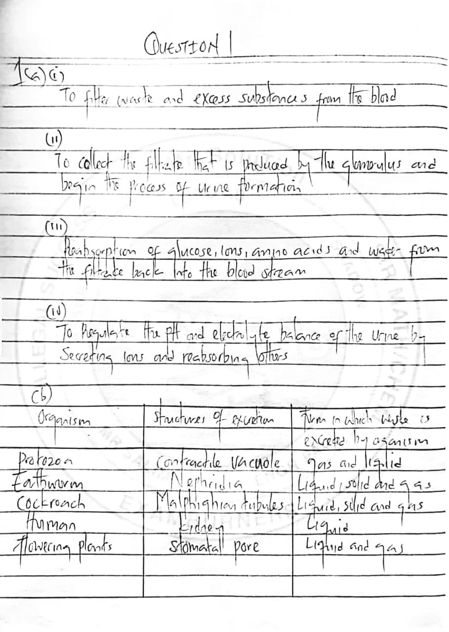 WAEC 2024 Biology QUESTIONS - Expo Pin